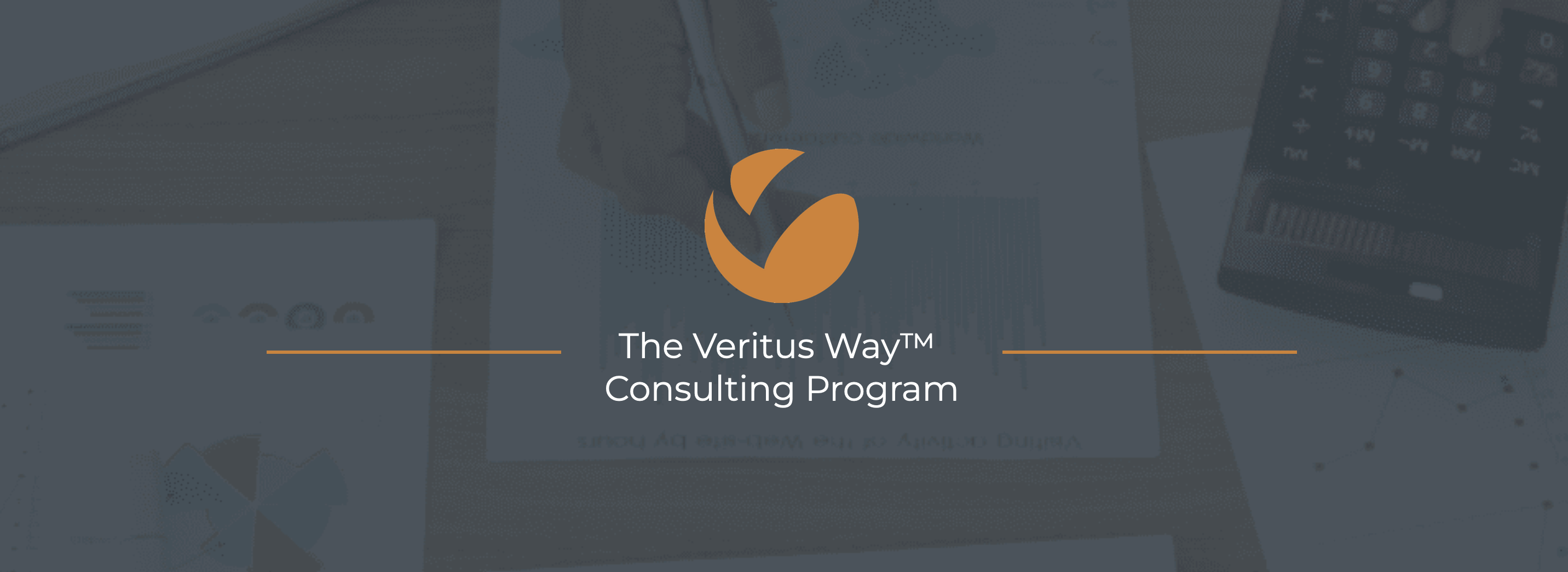The Veritus Way™ Consulting Program - Veritus Group